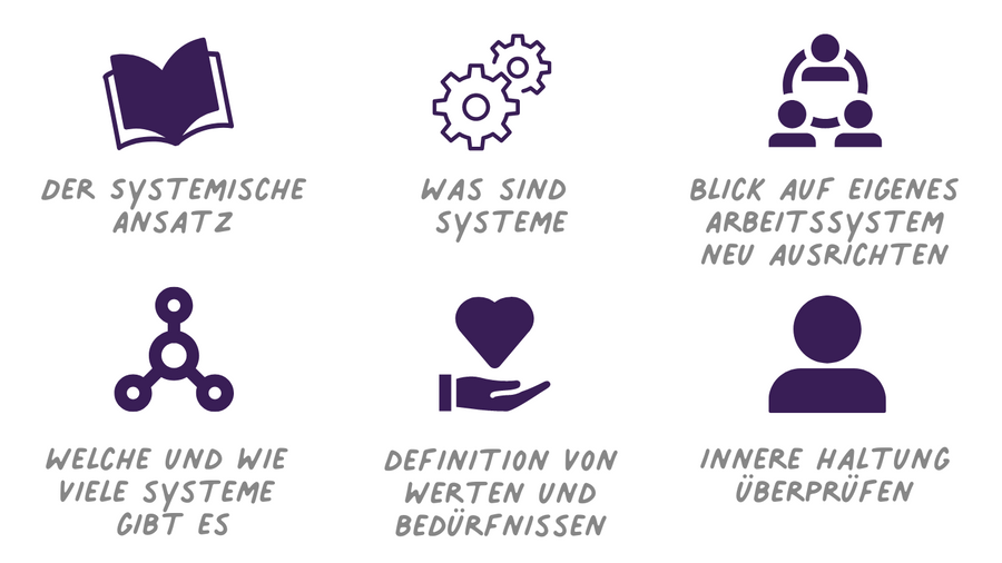 Einführung in das Systemische Denken und Handeln